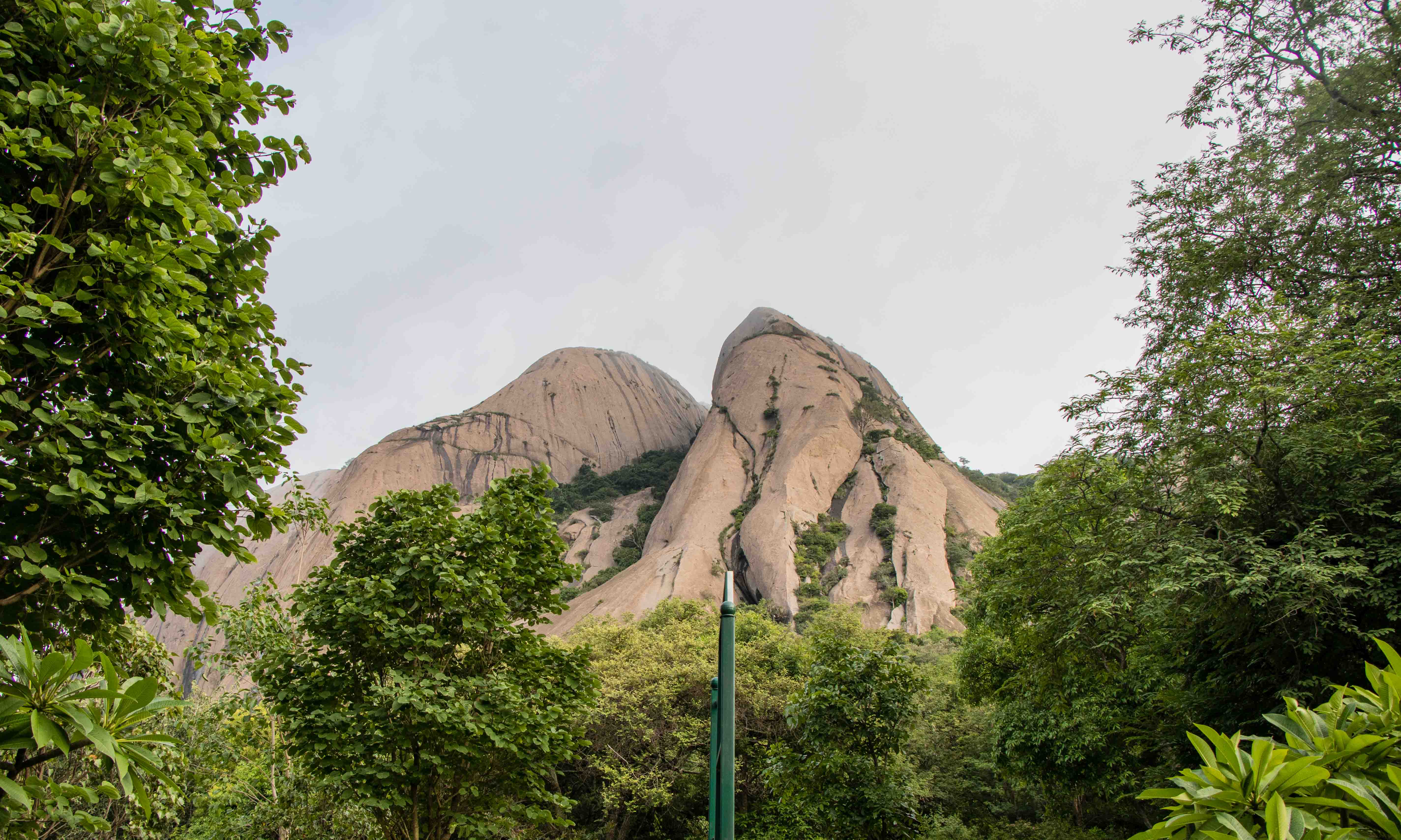 Bidarakatte Trek – Mad about Birding and Travel