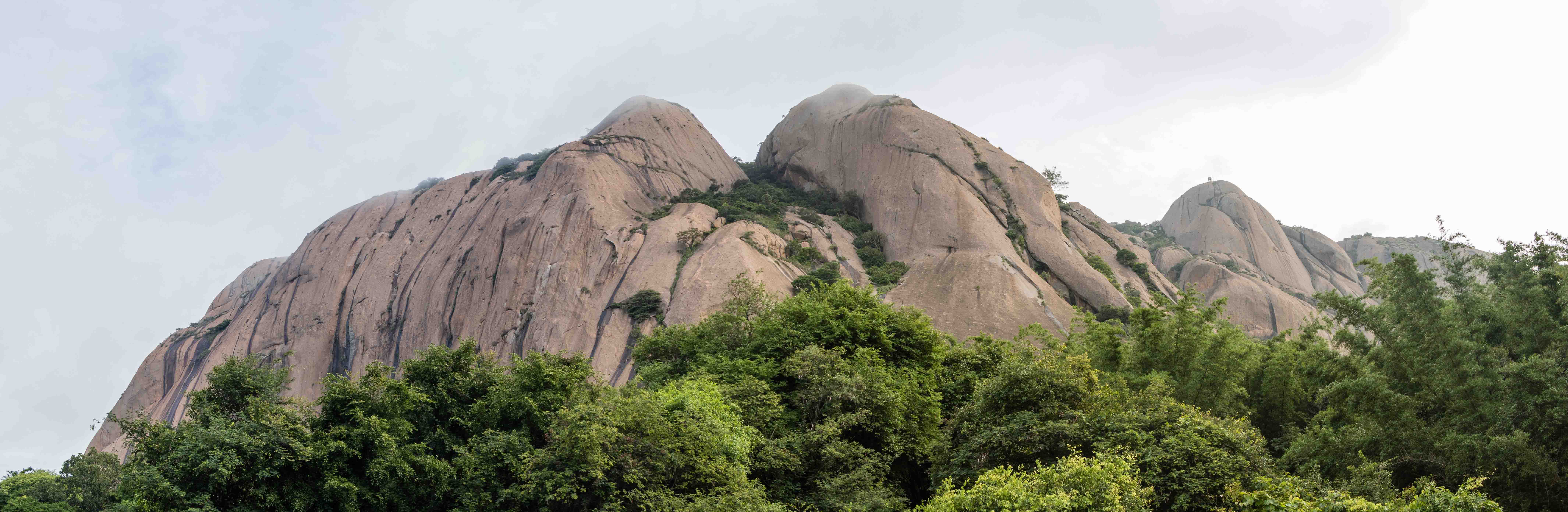 Bidarakatte Trek – Mad about Birding and Travel