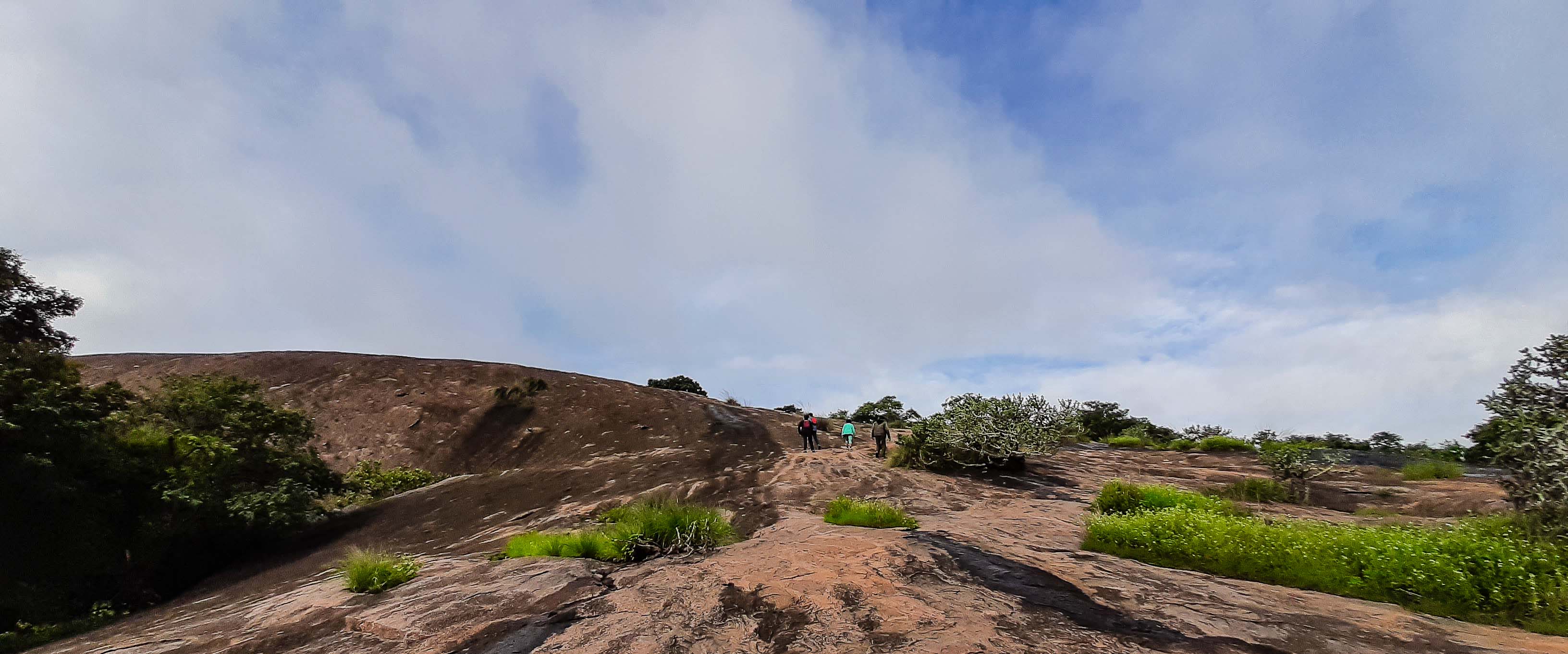 Bidarakatte Trek – Mad about Birding and Travel