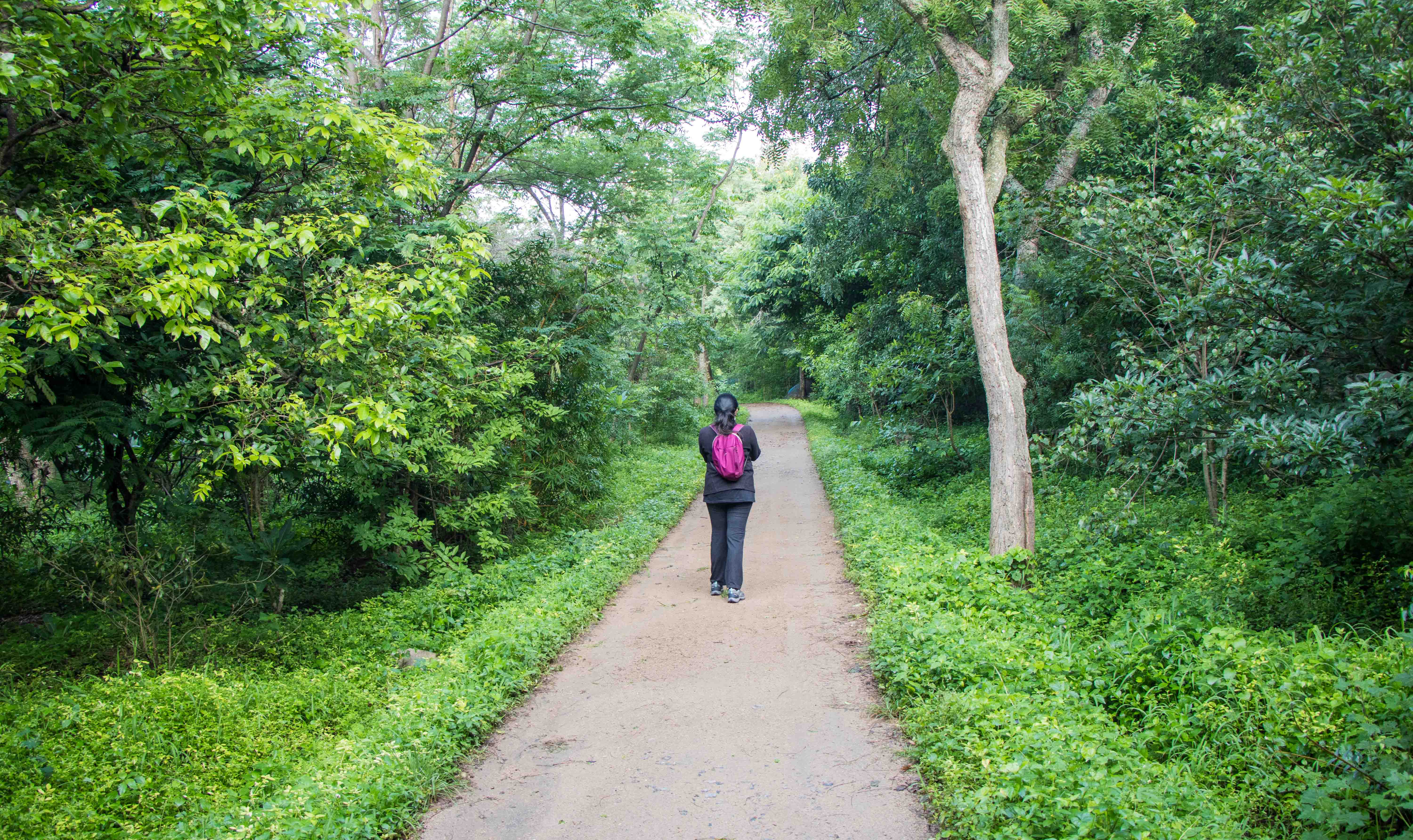 Bidarakatte Trek – Mad about Birding and Travel