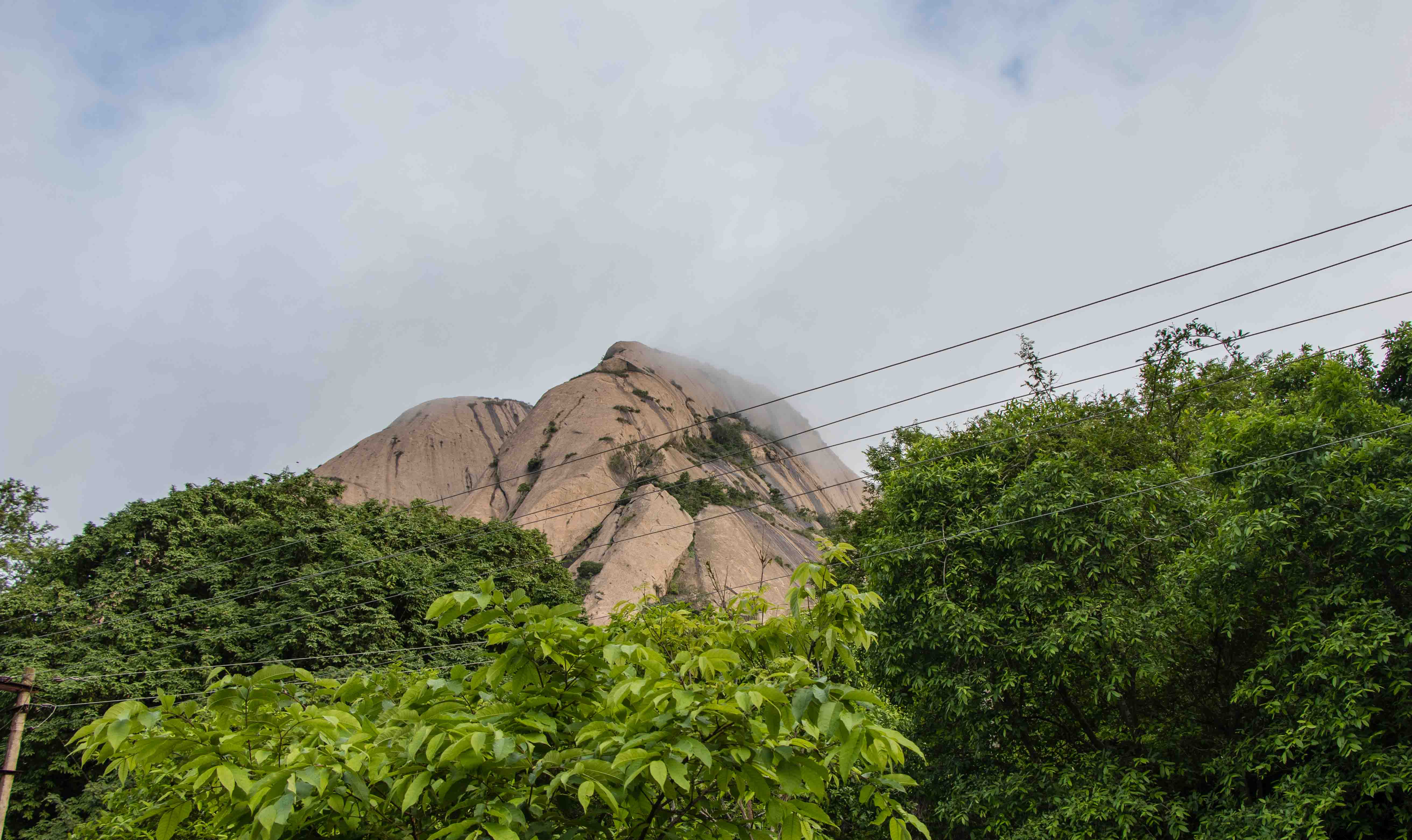 Bidarakatte Trek – Mad about Birding and Travel