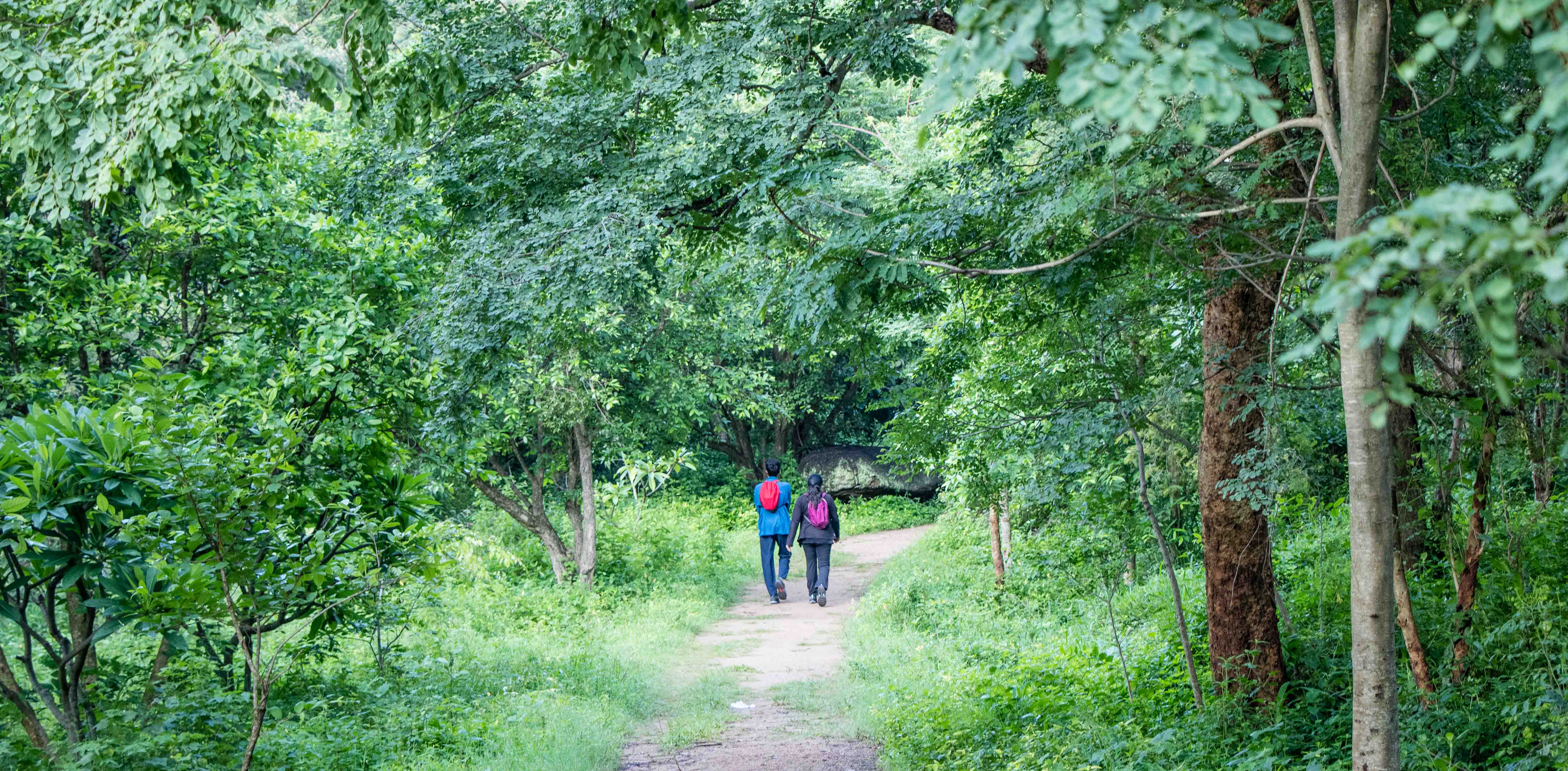 Bidarakatte Trek – Mad about Birding and Travel