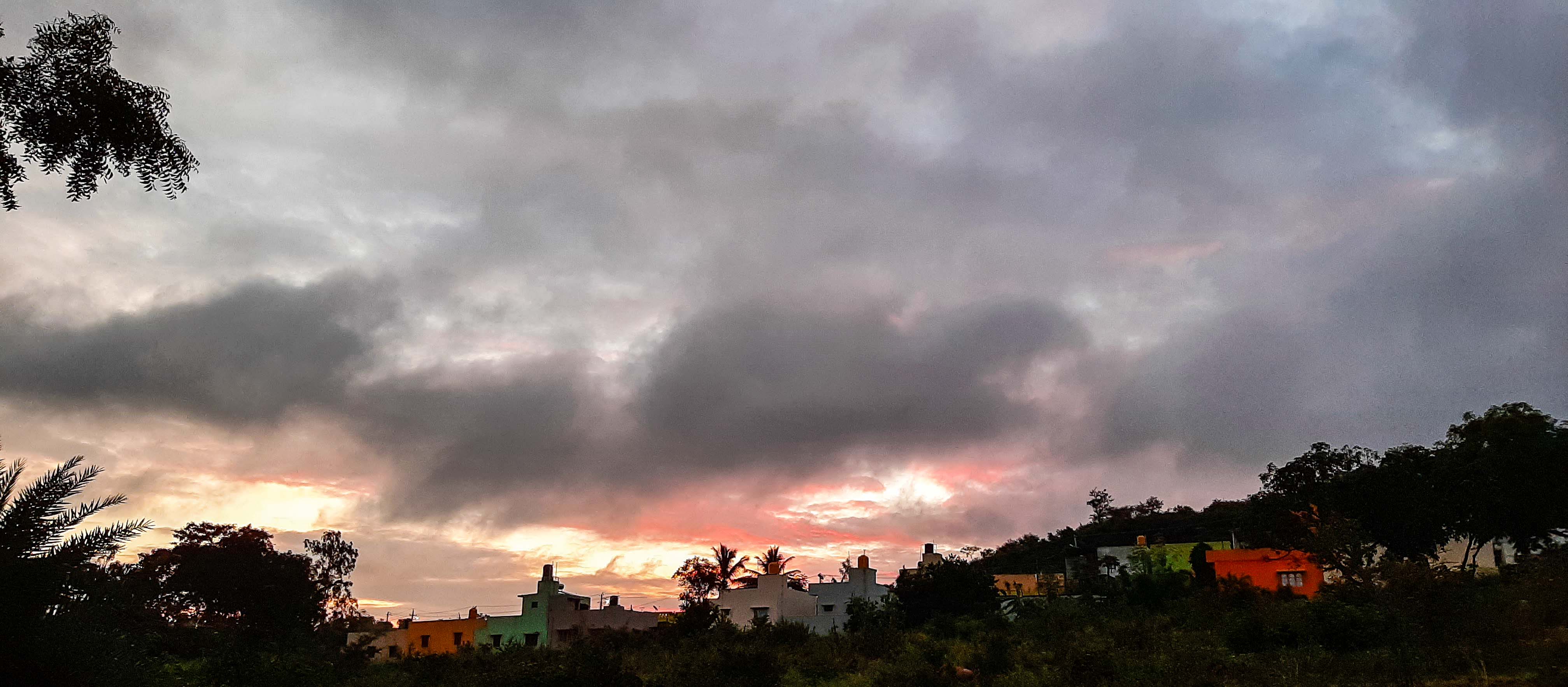 Bidarakatte Trek – Mad about Birding and Travel
